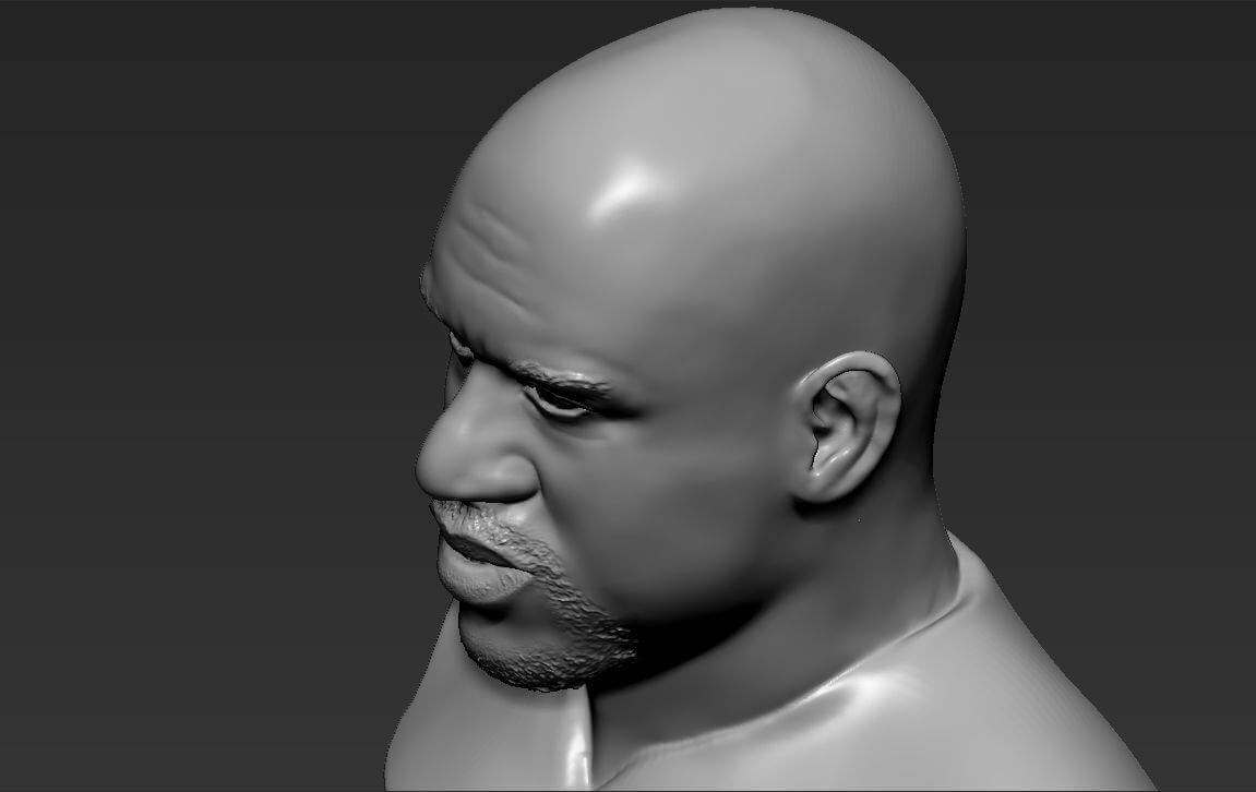 Shaq O'Neal (Full Color) - 3D Model by PrintedReality