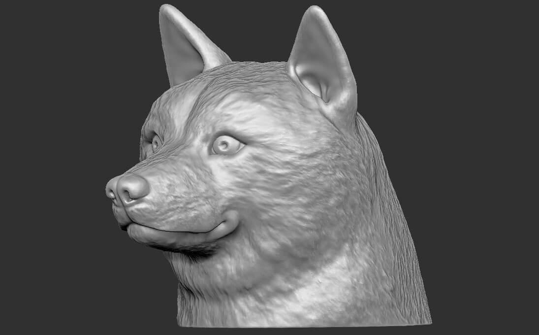 Shiba Inu Head - 3D Print Model by PrintedReality