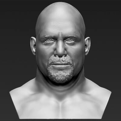 Stone Cold Steve Austin Bust - 3D Model by PrintedReality