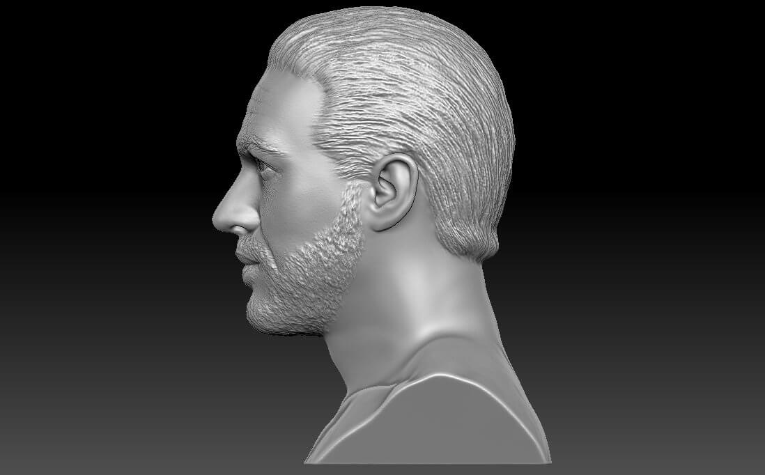 Tom Hardy Bust - 3D Model by PrintedReality