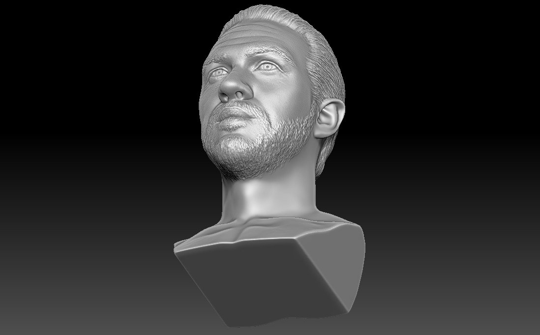 Tom Hardy Bust - 3D Model by PrintedReality