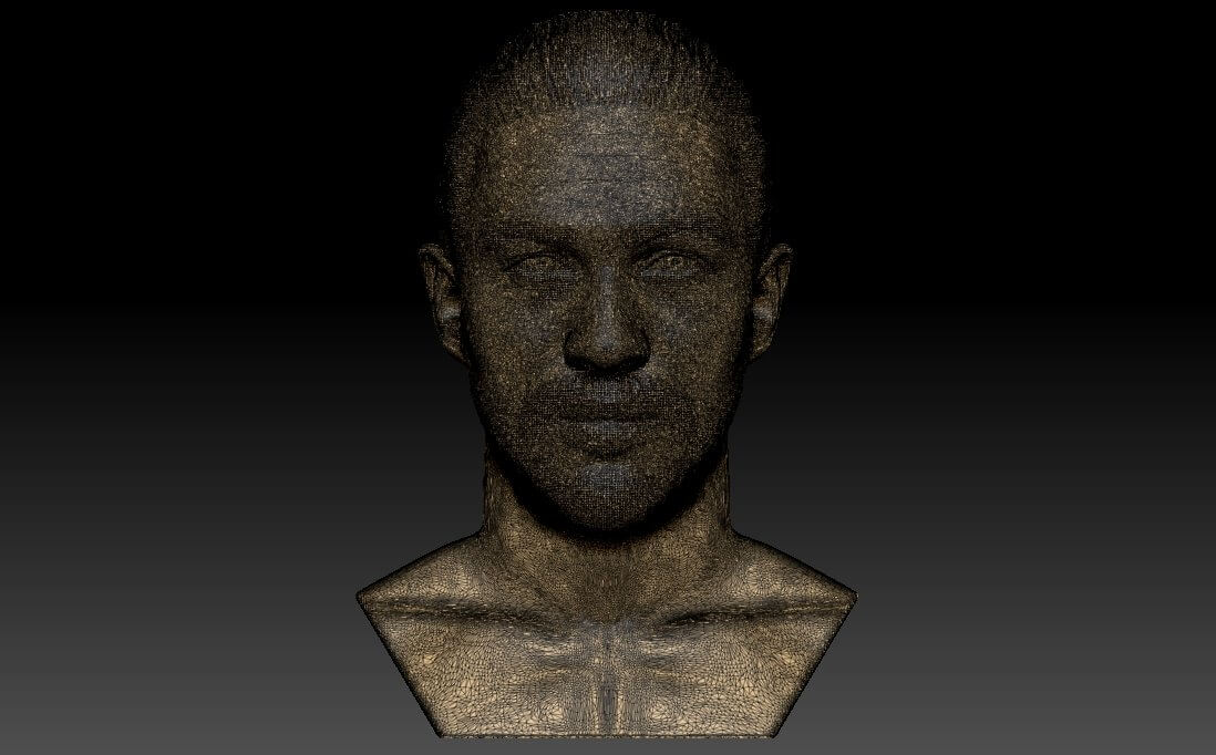Tom Hardy Bust - 3D Model by PrintedReality
