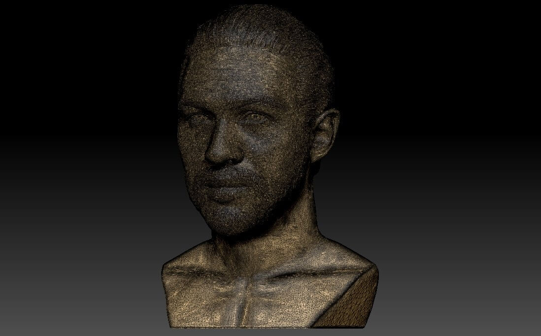Tom Hardy Bust - 3D Model by PrintedReality