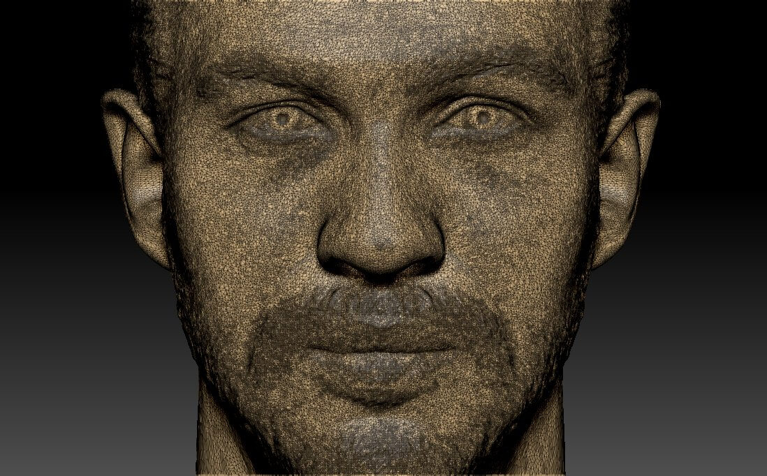 Tom Hardy Bust - 3D Model by PrintedReality