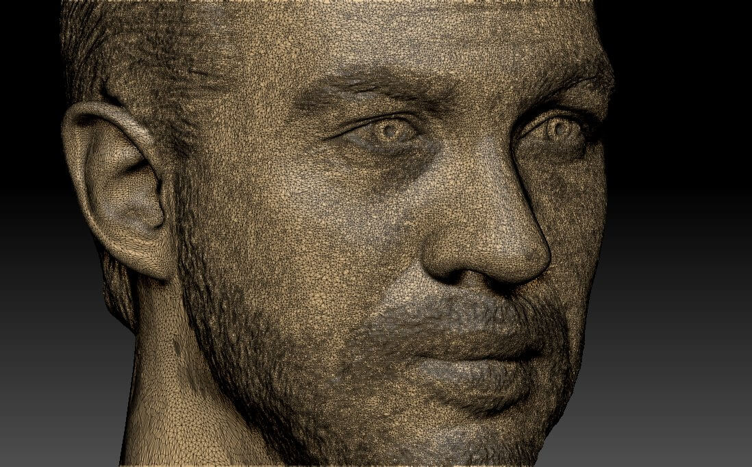 Tom Hardy Bust - 3D Model by PrintedReality