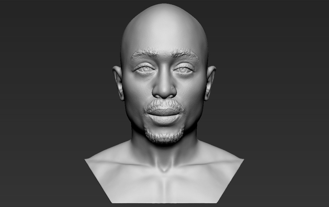 Tupac Shakur Bust - 3D Print Model by PrintedReality