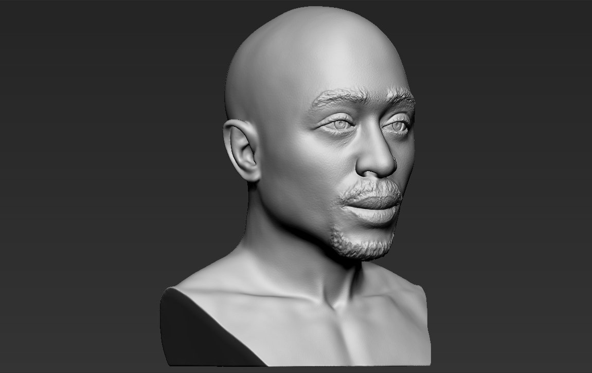 Tupac Shakur Bust - 3D Model by PrintedReality