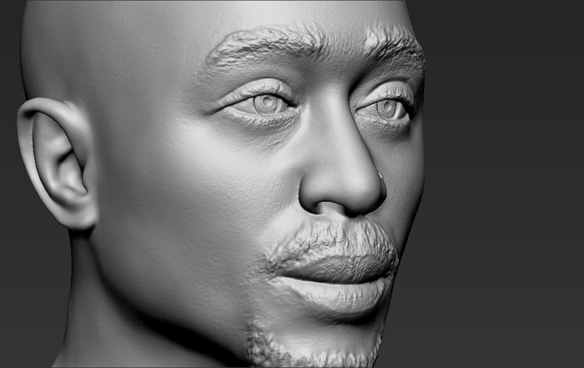 Tupac Shakur Bust - 3D Model by PrintedReality