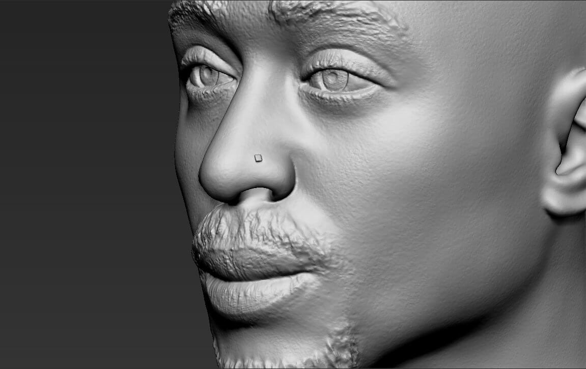 Tupac Shakur Bust - 3D Model by PrintedReality