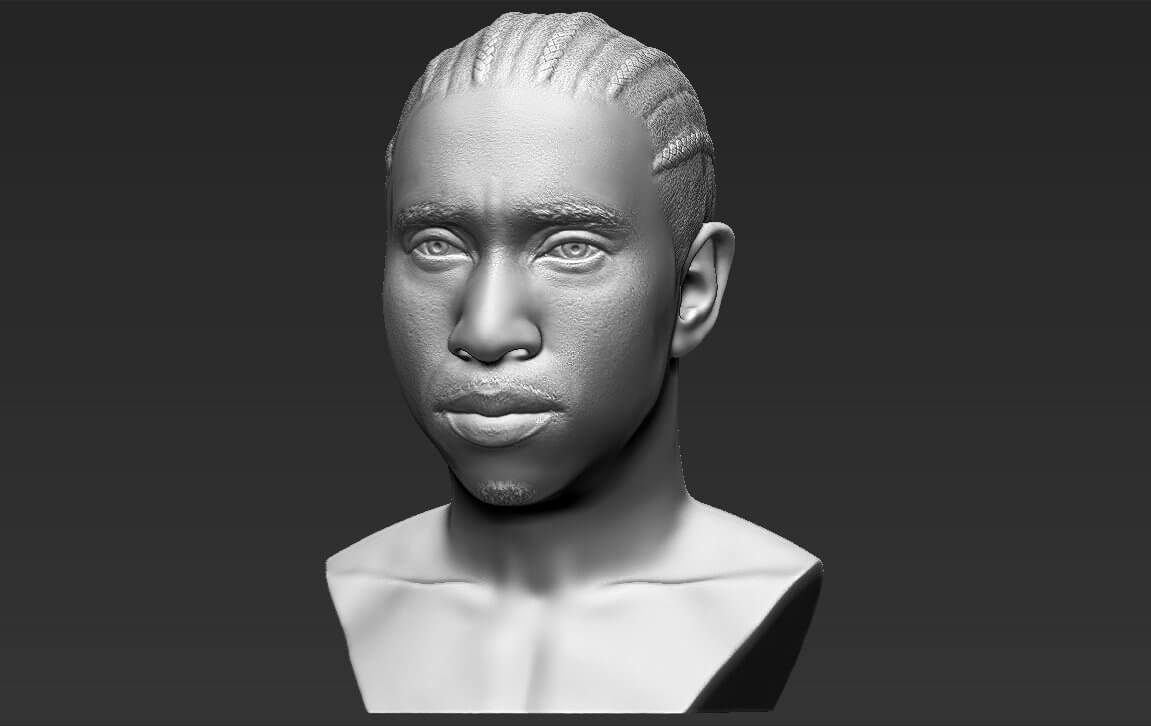 Tyga Bust - 3D Model by PrintedReality