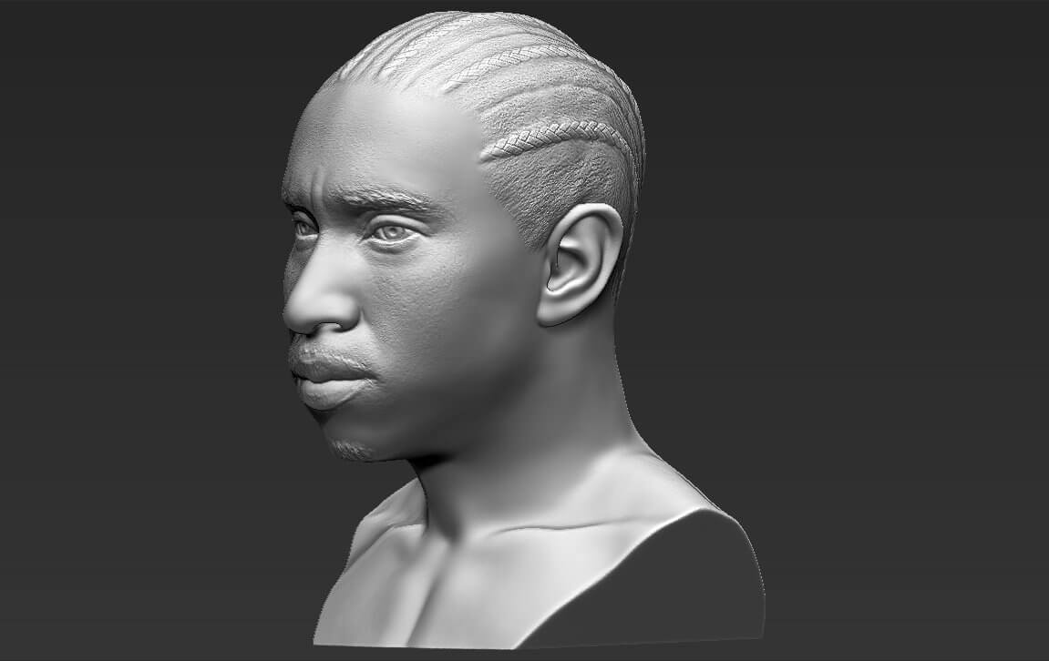Tyga Bust - 3D Model by PrintedReality