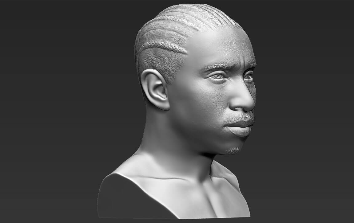 Tyga Bust - 3D Model by PrintedReality