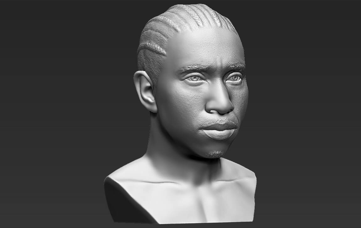 Tyga Bust - 3D Model by PrintedReality