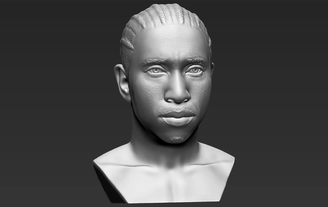 Tyga Bust - 3D Model by PrintedReality