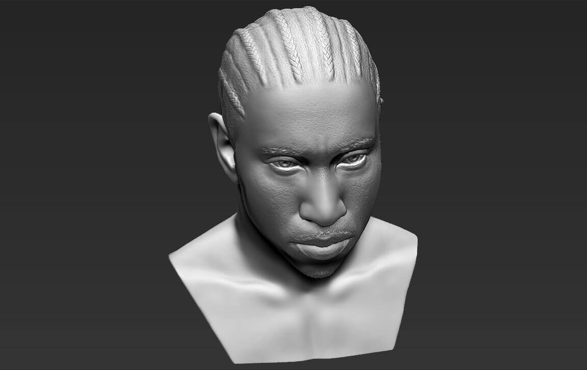 Tyga Bust - 3D Model by PrintedReality