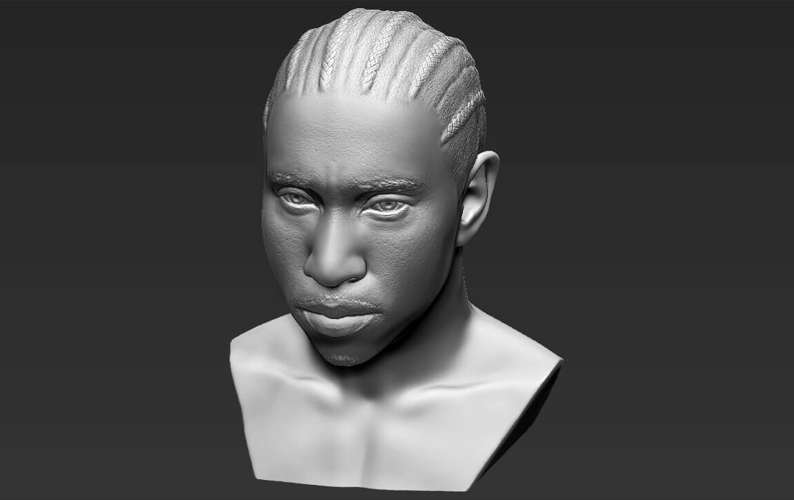 Tyga Bust - 3D Model by PrintedReality