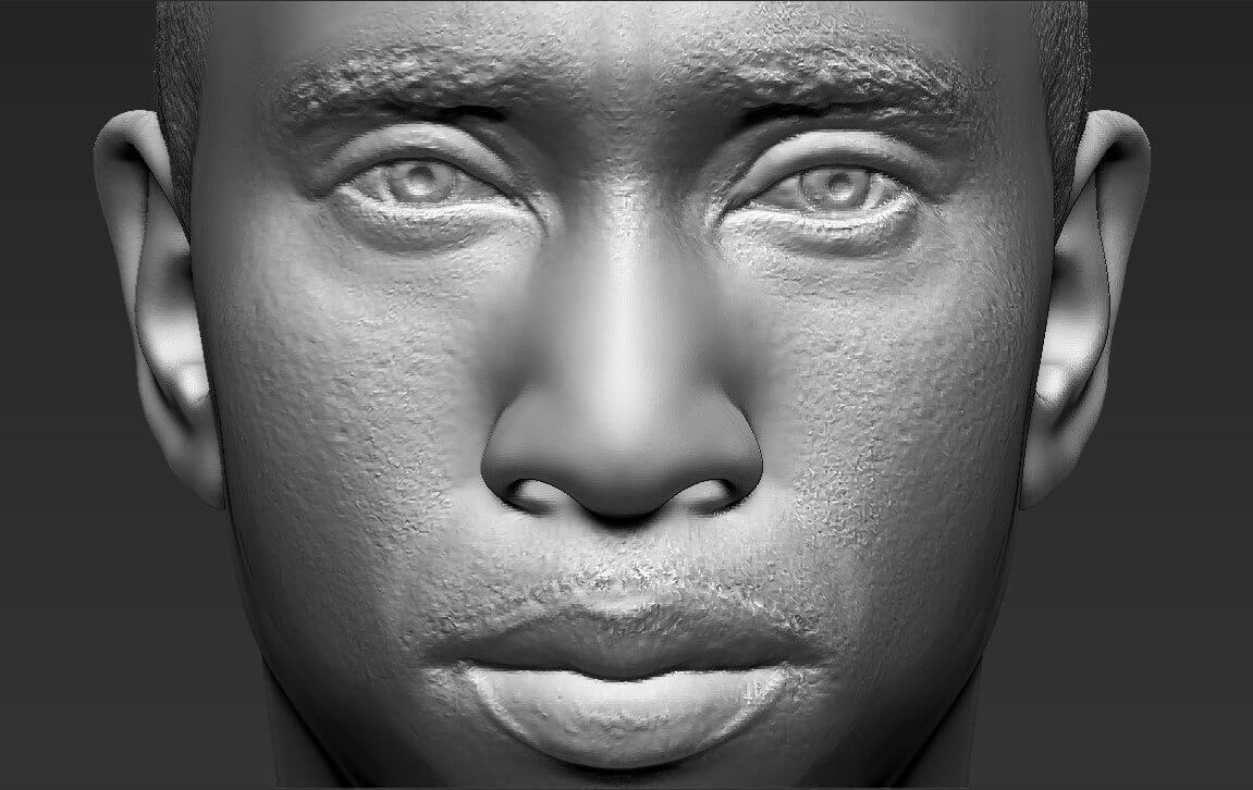 Tyga Bust - 3D Model by PrintedReality