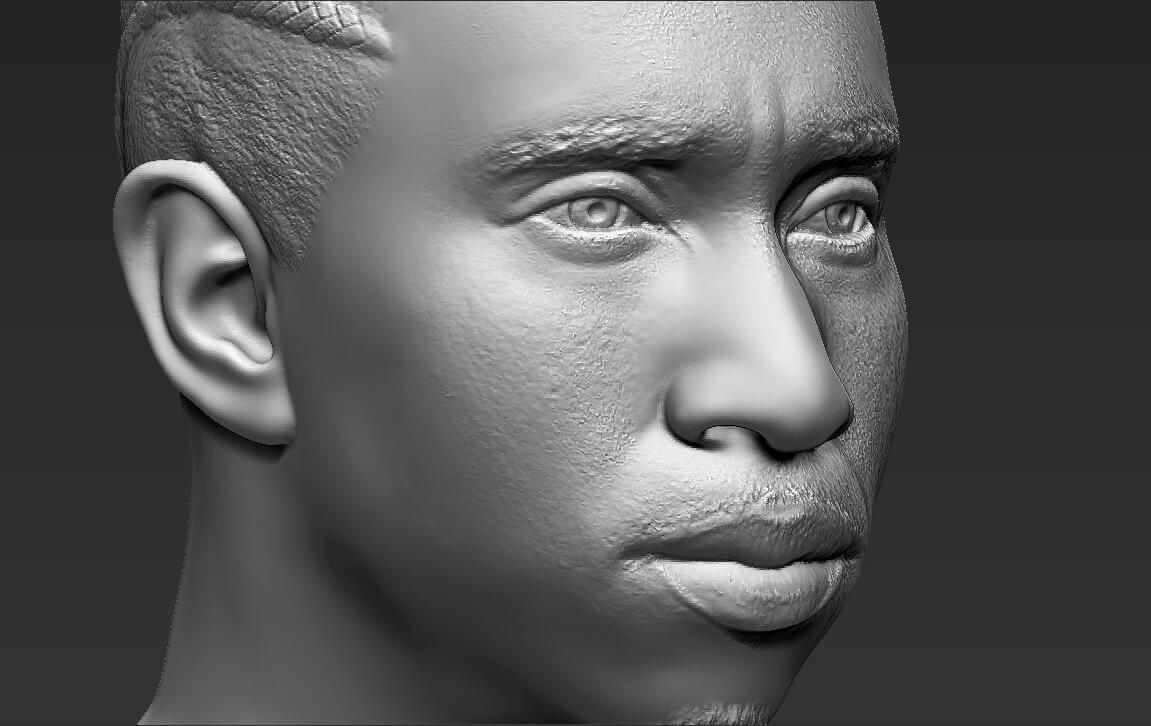 Tyga Bust - 3D Model by PrintedReality