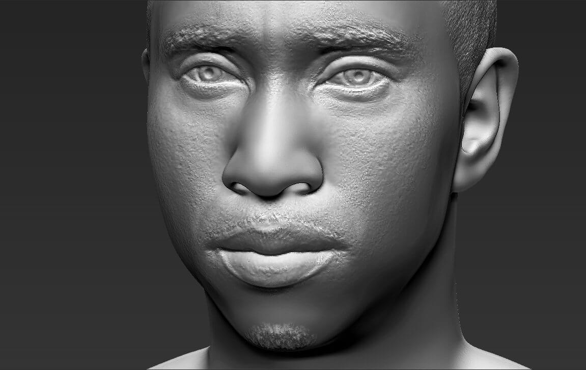 Tyga Bust - 3D Model by PrintedReality