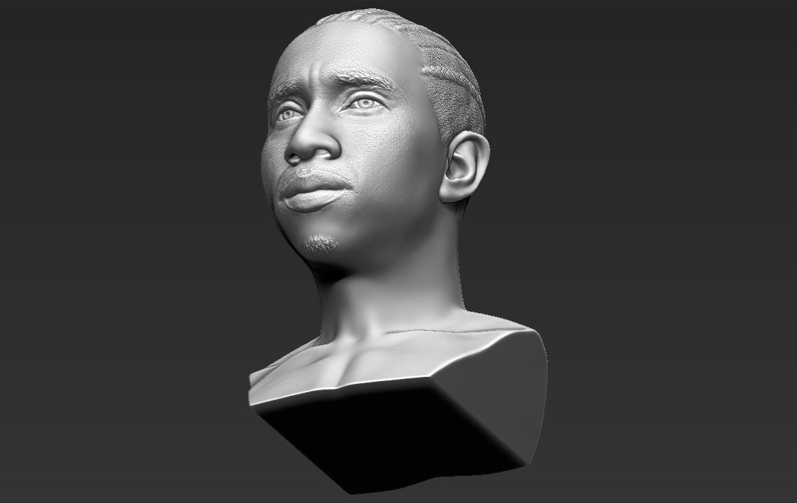 Tyga Bust - 3D Model by PrintedReality