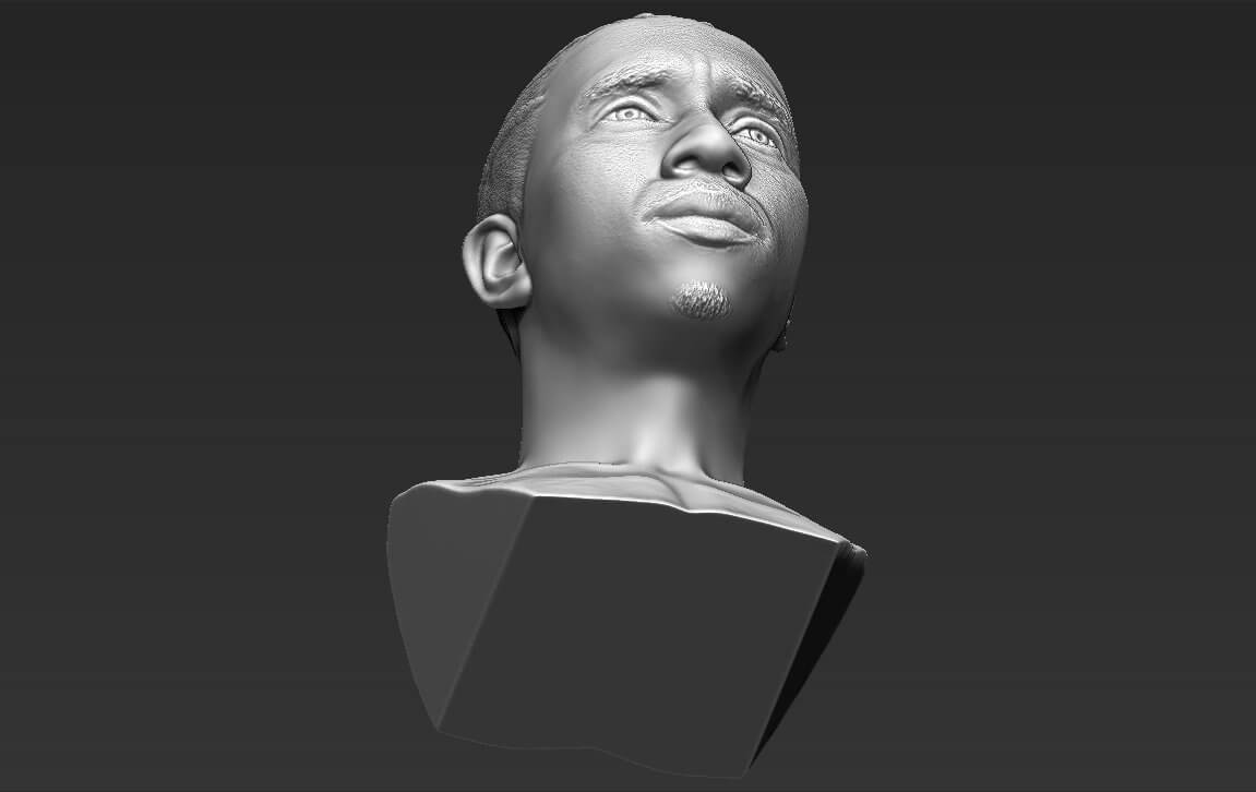 Tyga Bust - 3D Model by PrintedReality