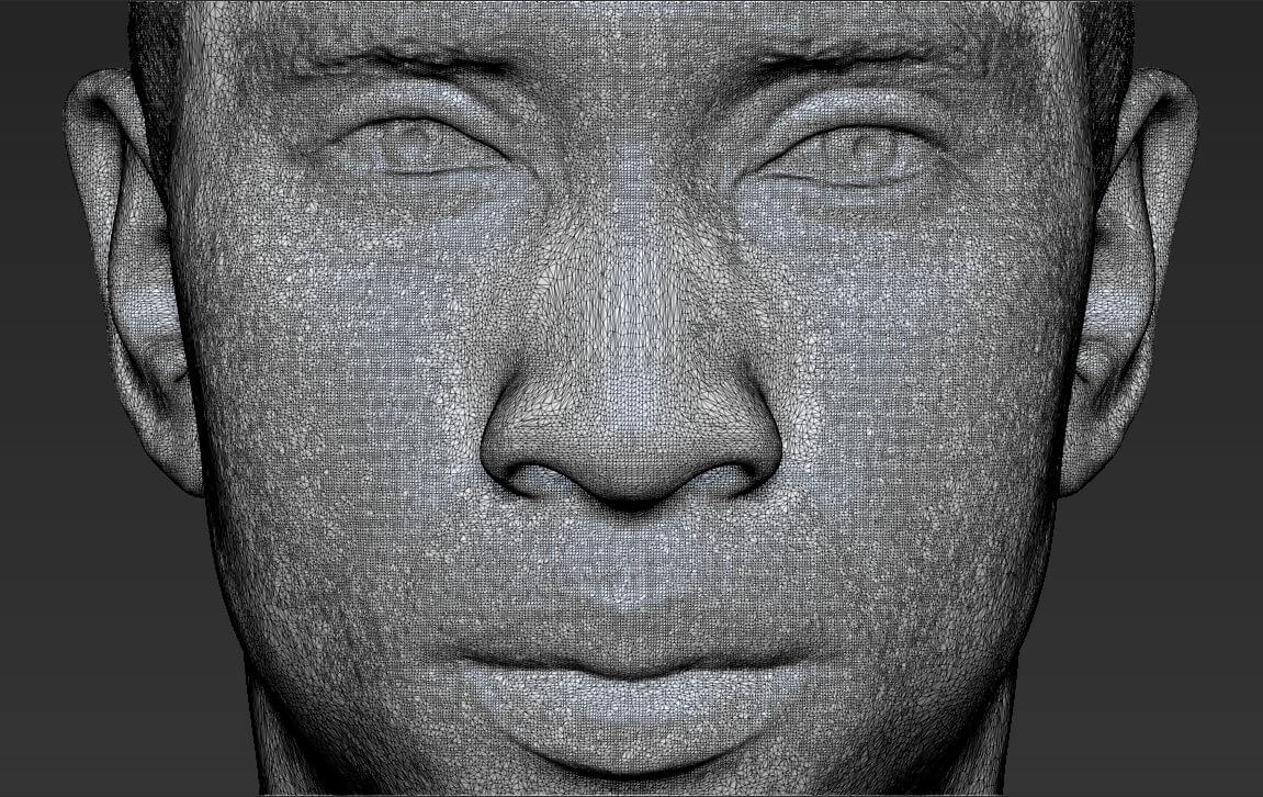 Tyga Bust - 3D Model by PrintedReality