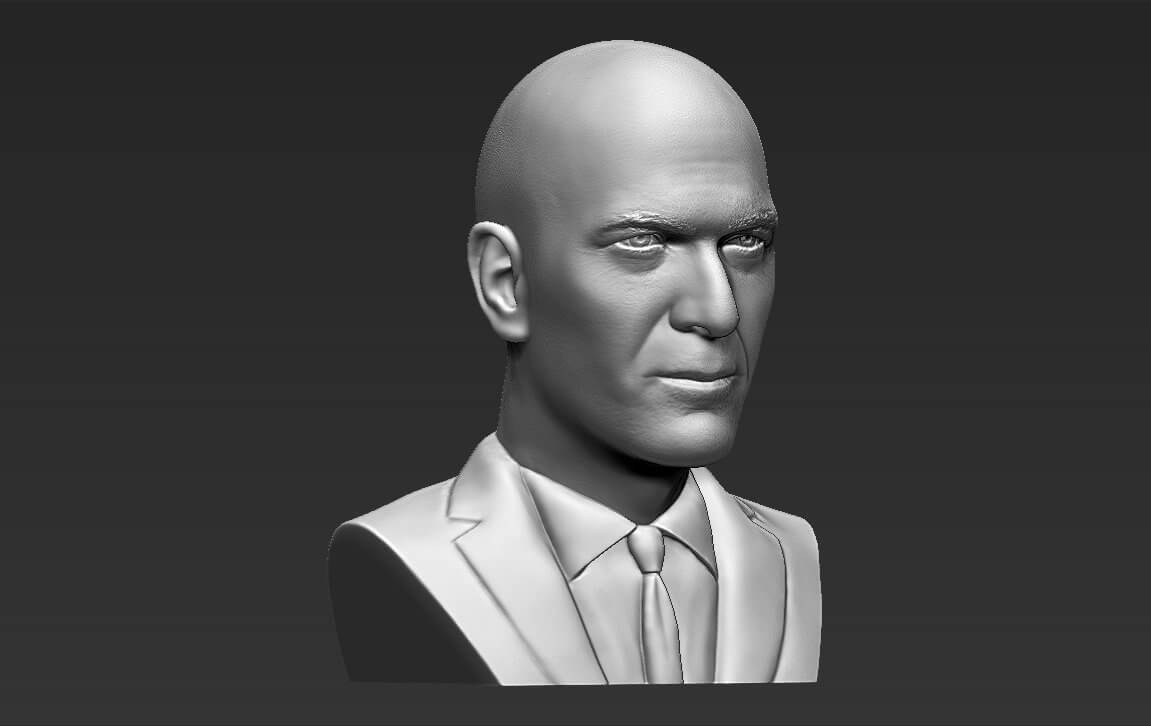 Zinedine Zidane Bust - 3D Model by PrintedReality