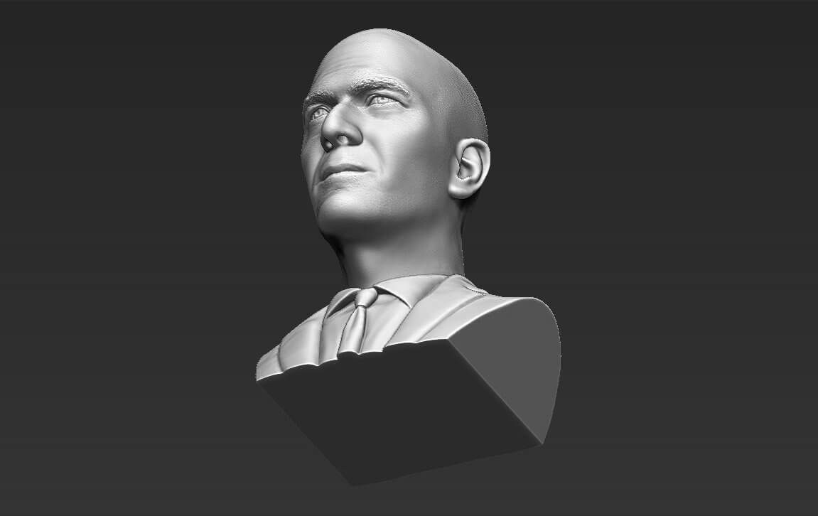Zinedine Zidane Bust - 3D Model by PrintedReality