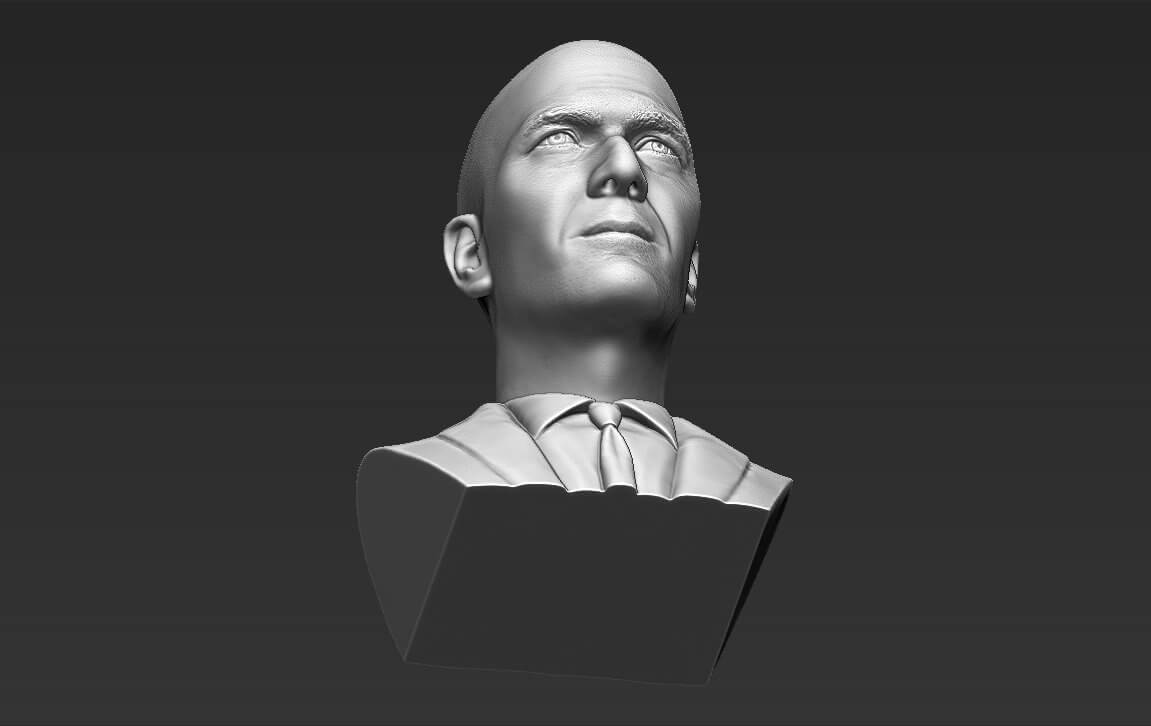 Zinedine Zidane Bust - 3D Model by PrintedReality
