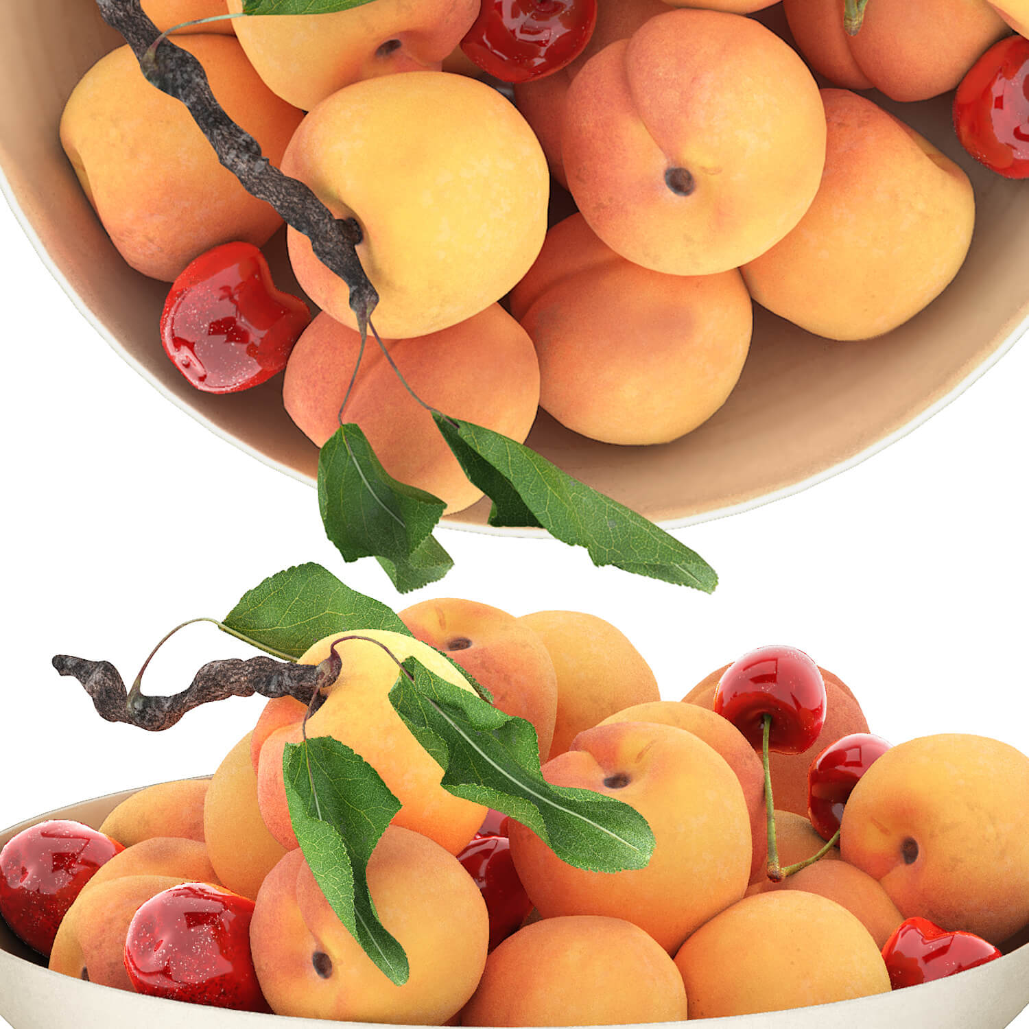 Bowl of Apricots and Cherries - 3D Model by Proart1studio
