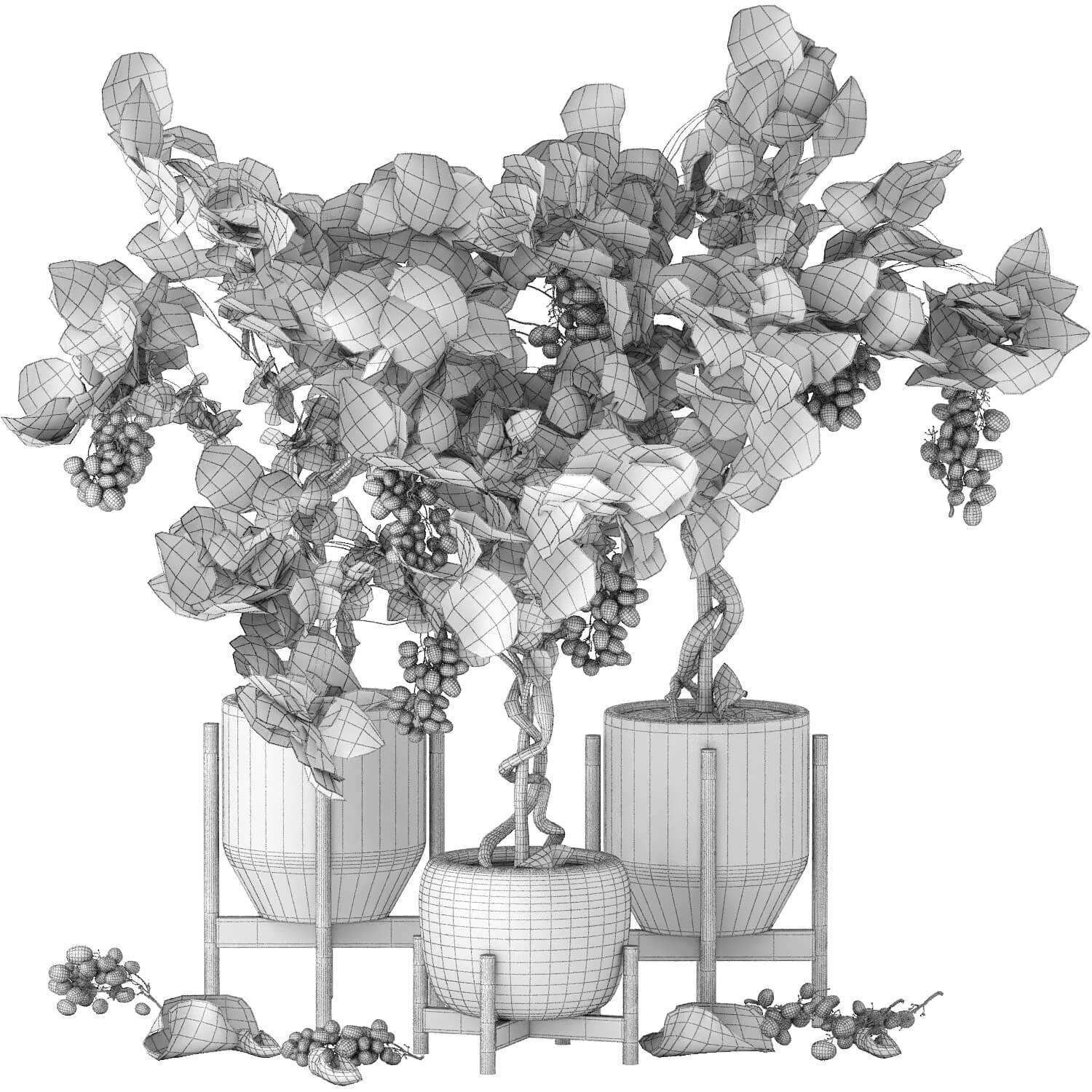 Pots of Grapes Trees - 3D Model by Proart1studio