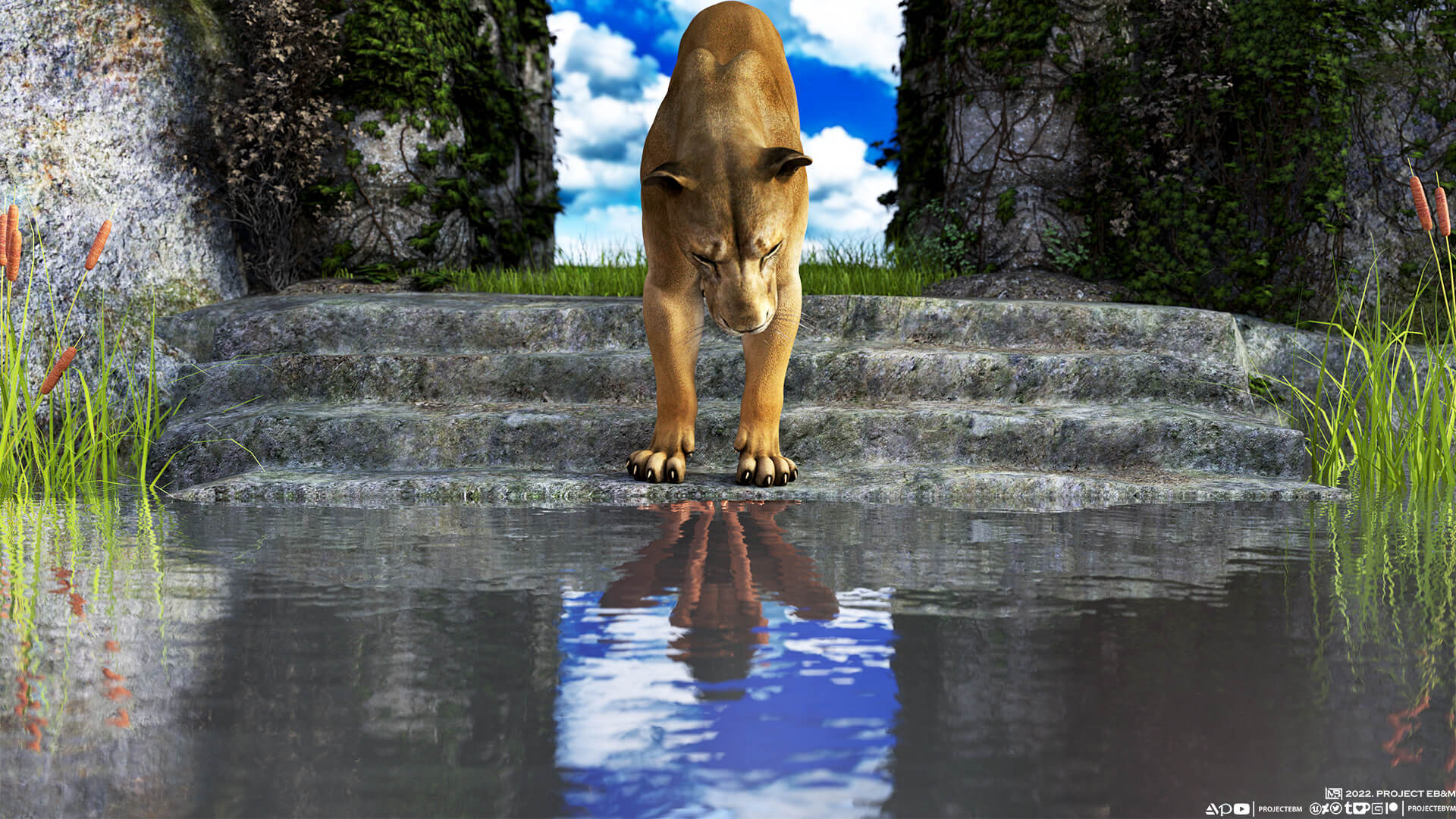 Reflection 3D Render, Digital Art by Project EByM