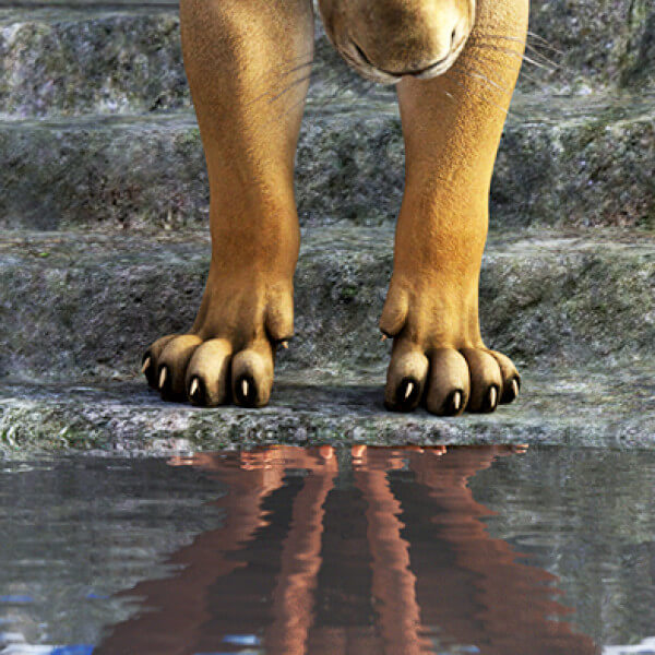 Reflection 3D Render | RenderHub Gallery