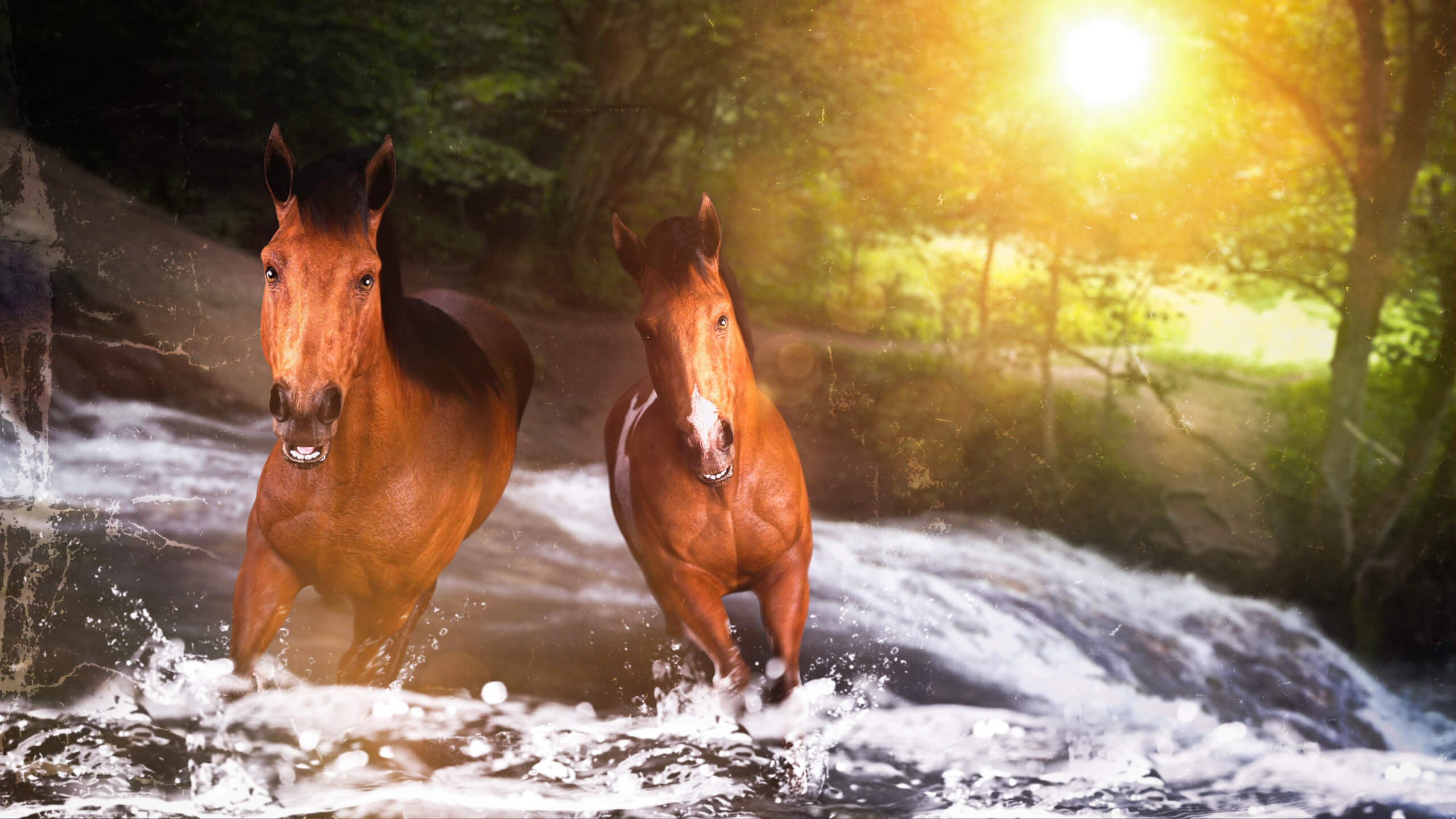 Freedom 3D Desktop HD Wallpaper