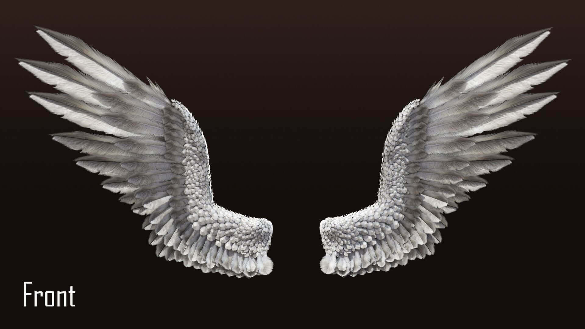 Bird-Angel Wings (C4D) 3D Model by QUARTOMUNDO