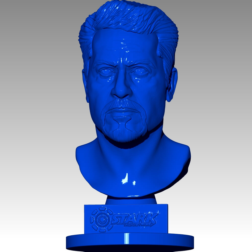 Tony Stark Bust - 3D Print Model by R3DMax
