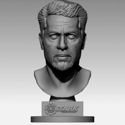 Tony Stark Bust - 3D Print Model by R3DMax