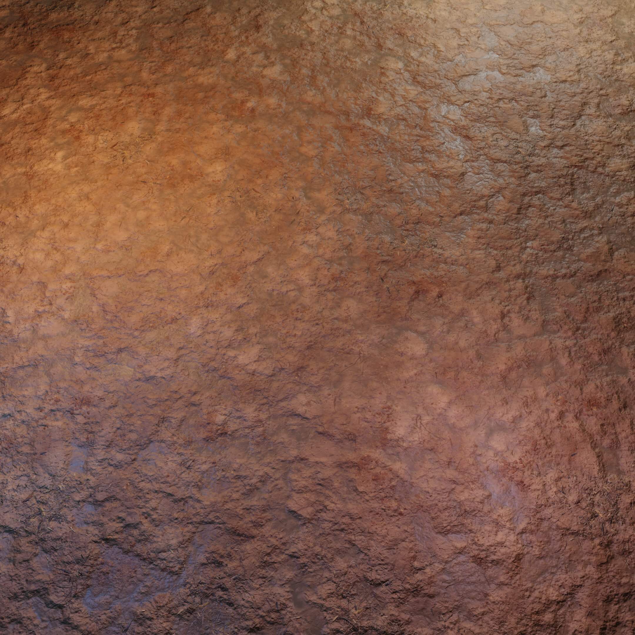 Wet Mud Surface #2 - 3D Texture by R3NALDO