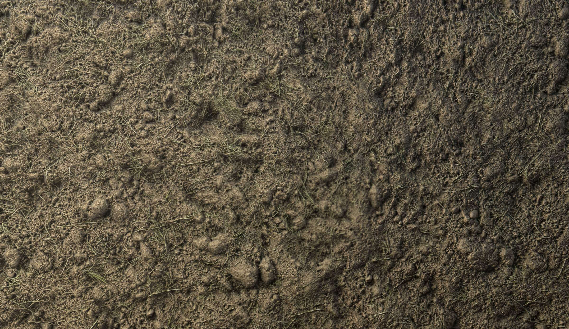 Dirt texture