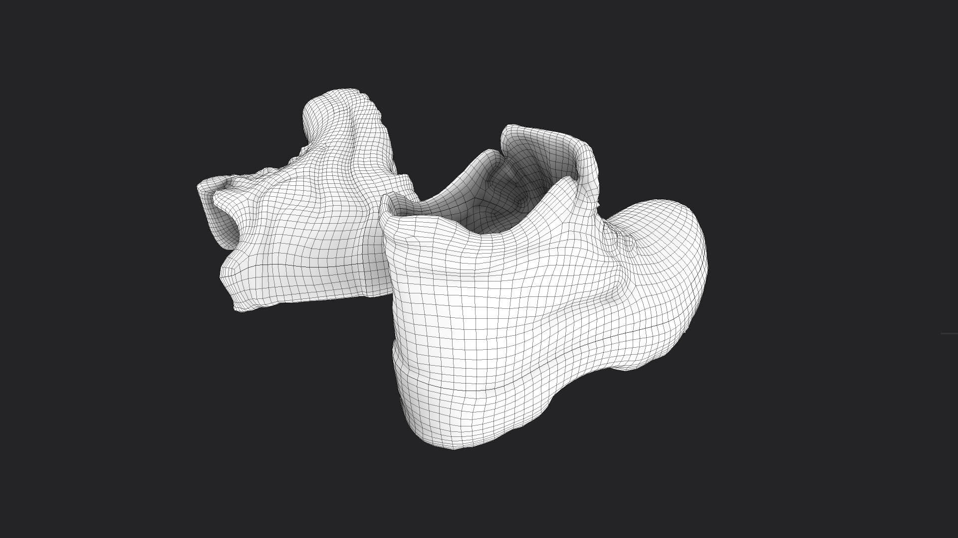 Pair of Boots - 3D Model by Radju