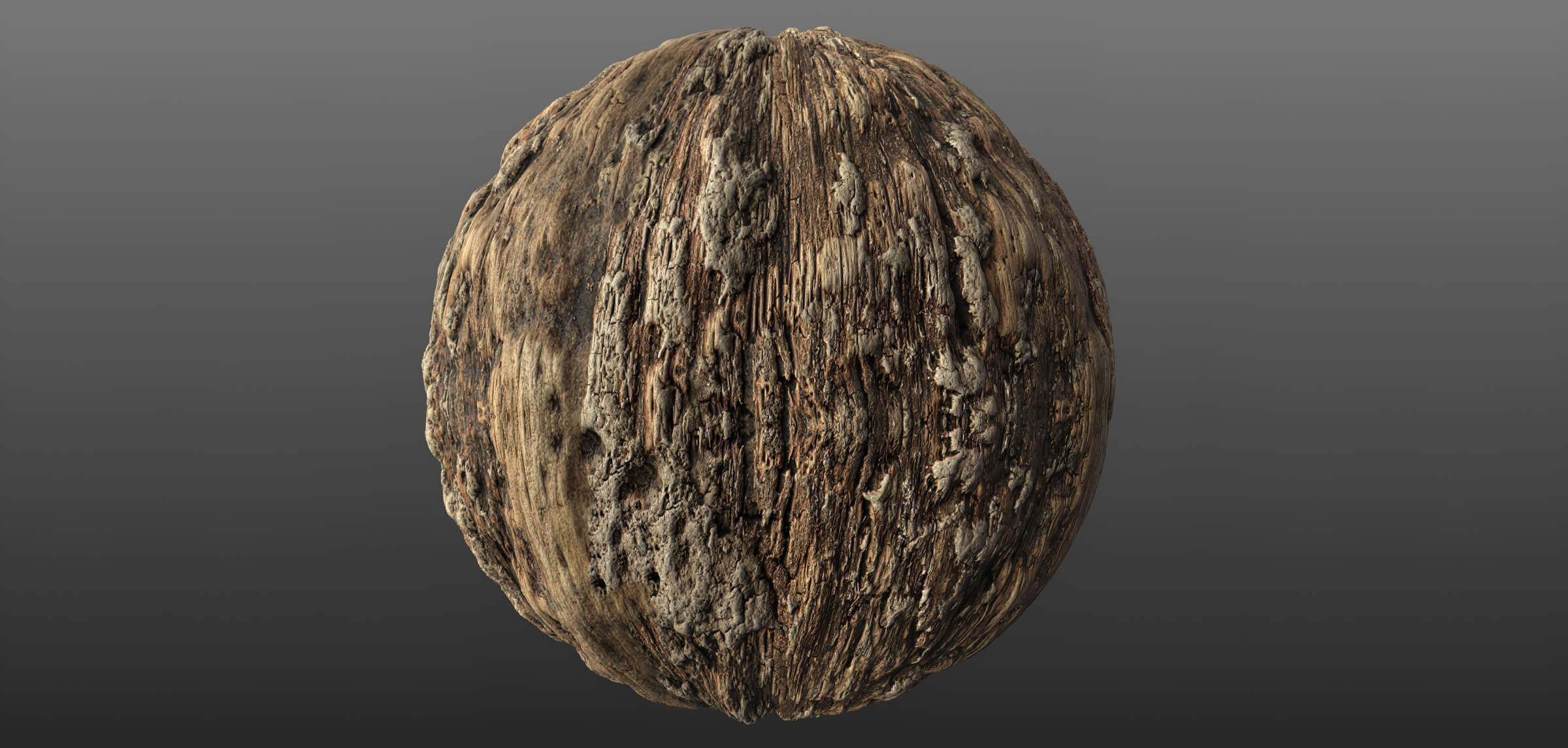 Tree Bark 006 PBR Texture by Radju