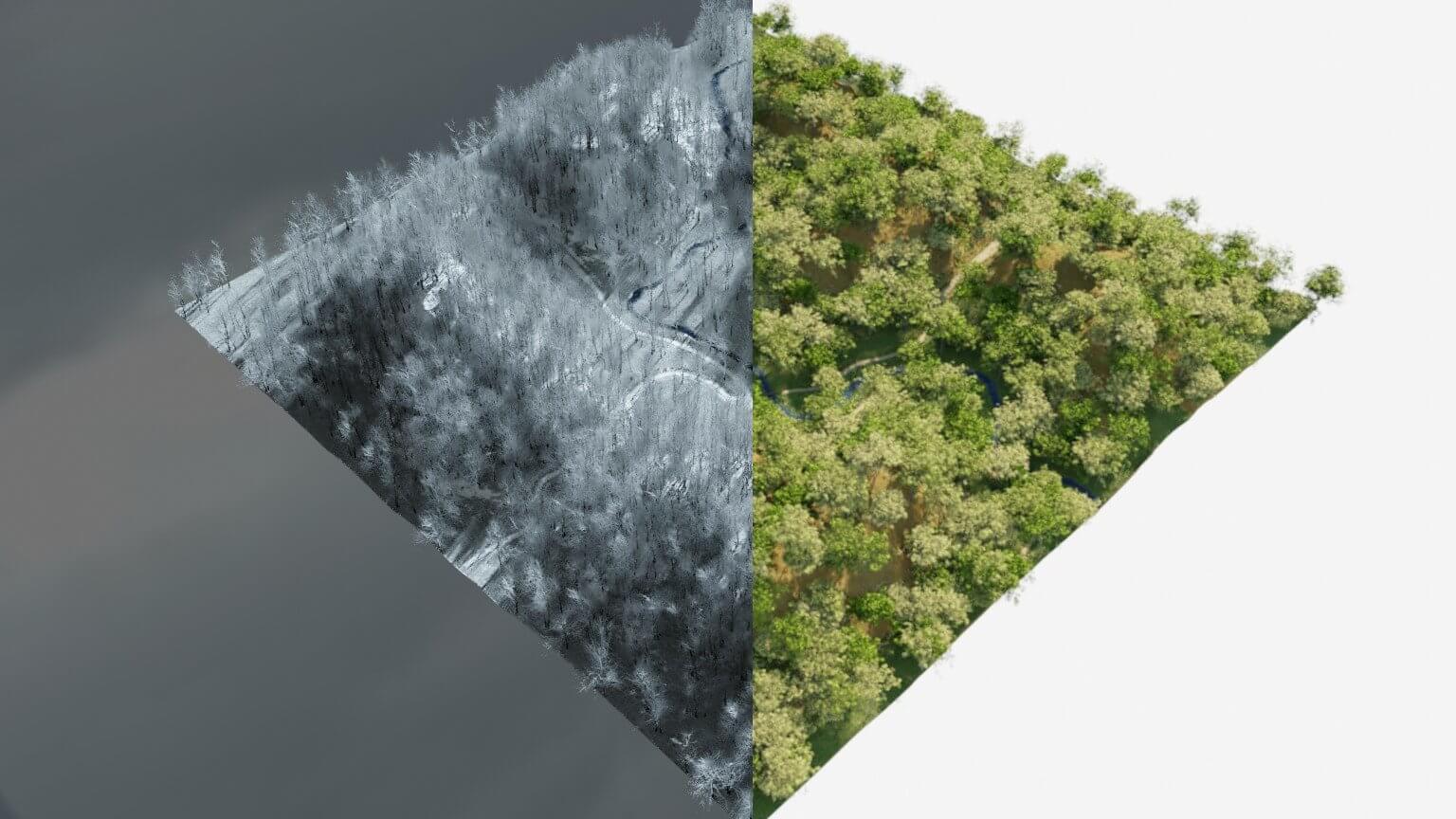 Forest By Season - 3D Model by raffyraffy