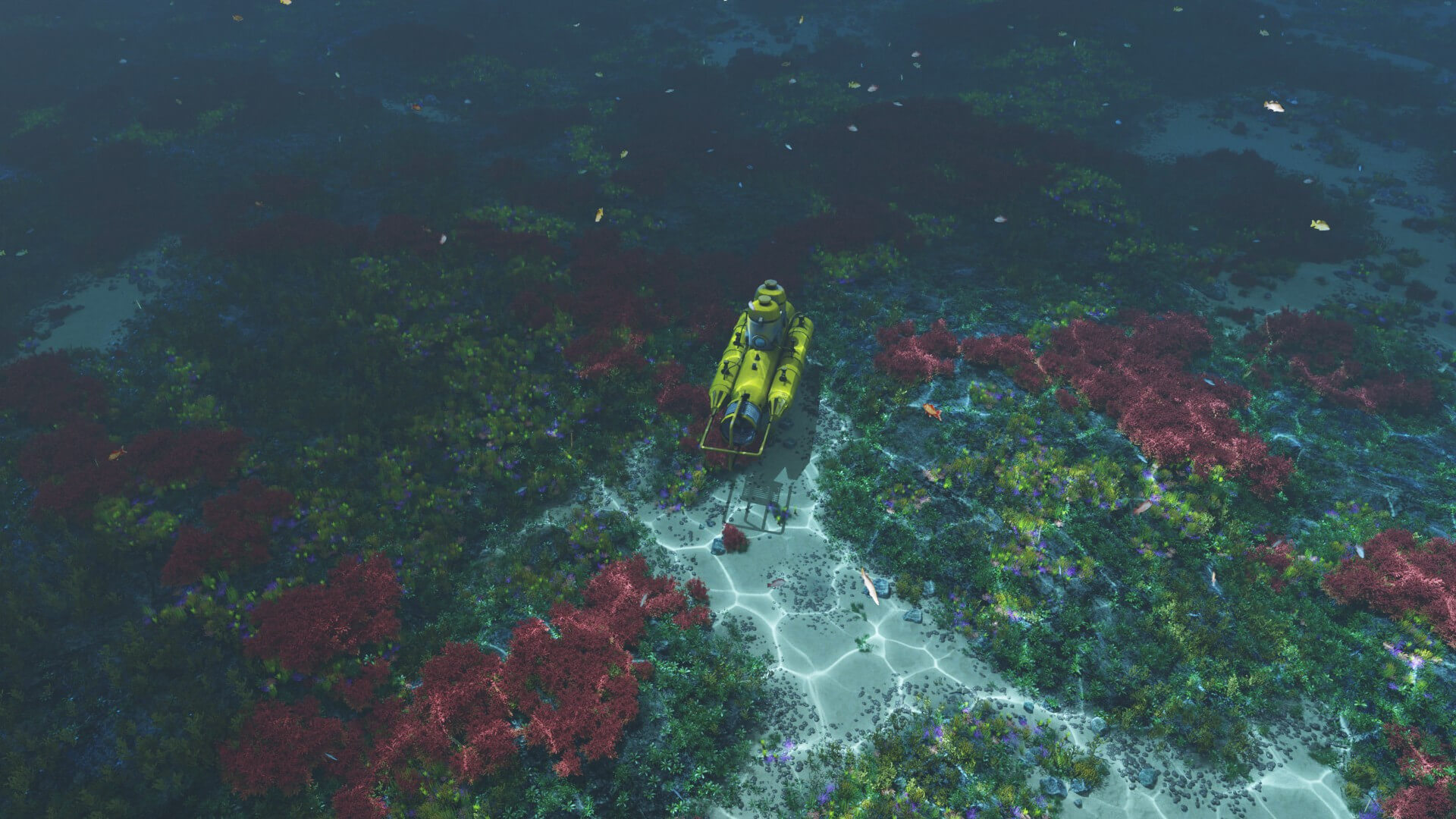 Underwater seabed 3D Render, Digital Art by raffyraffy