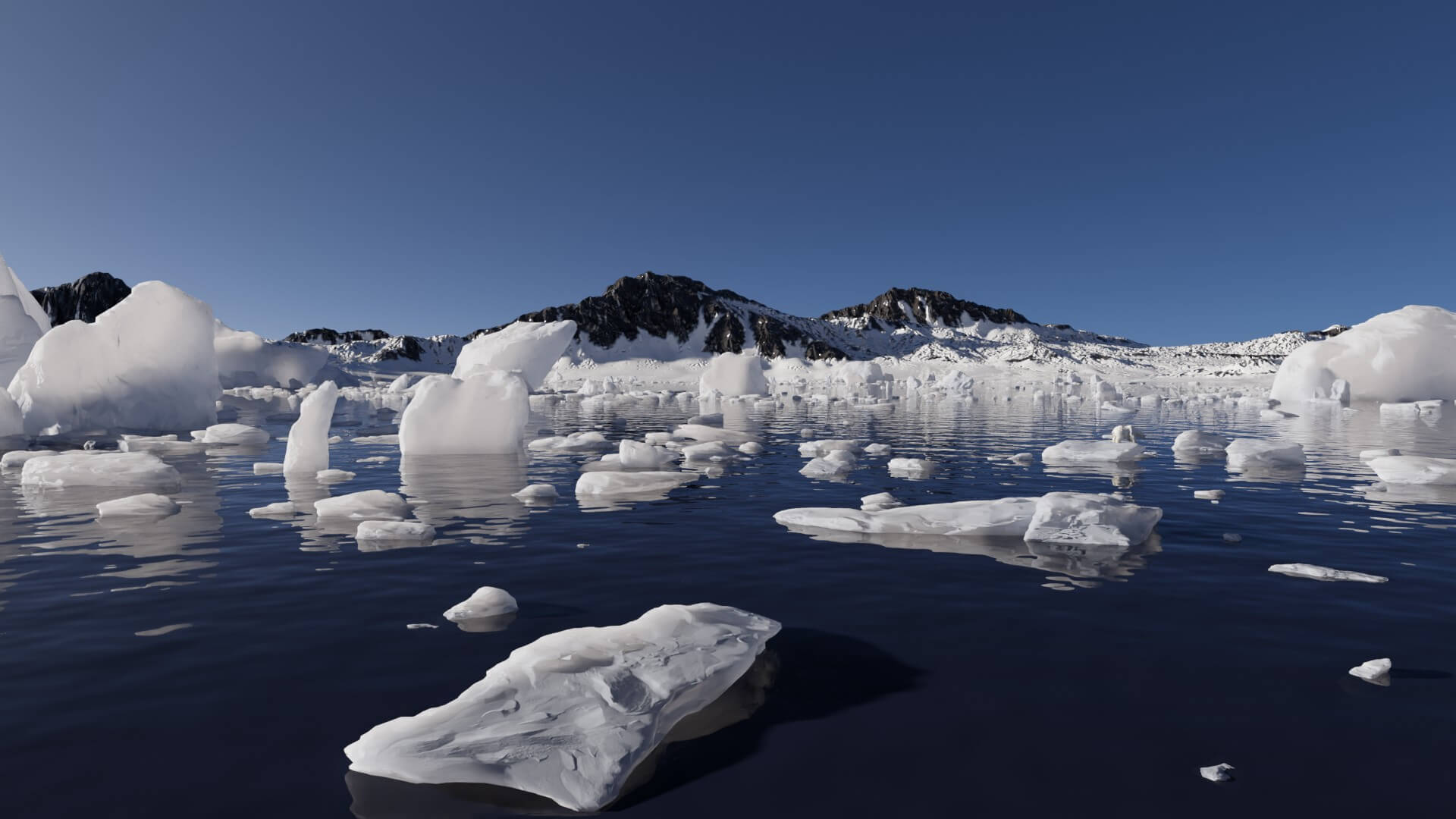 Polar Ice Pack - 3D Model by raffyraffy