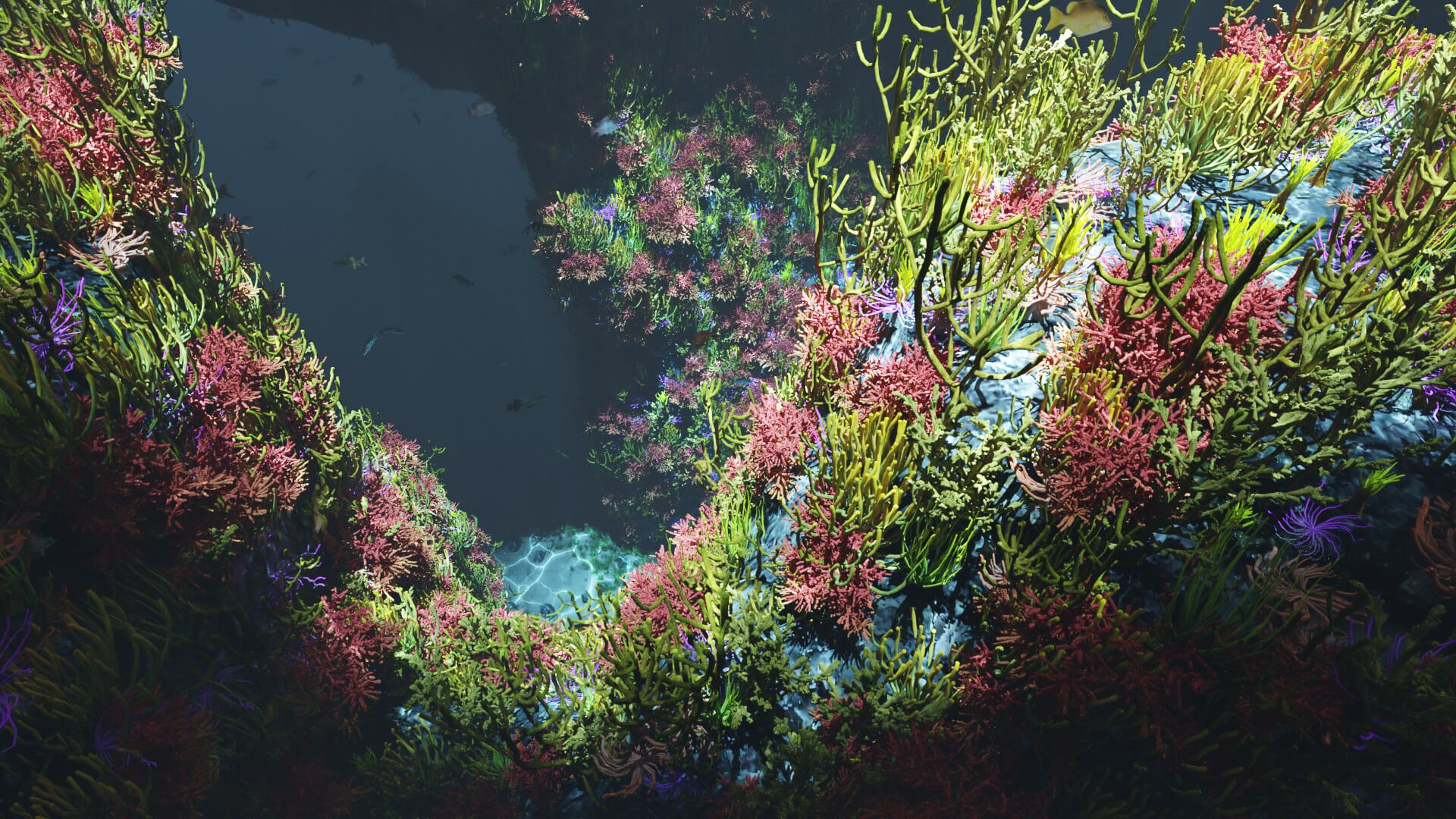 Underwater Reefs - 3D Model by raffyraffy