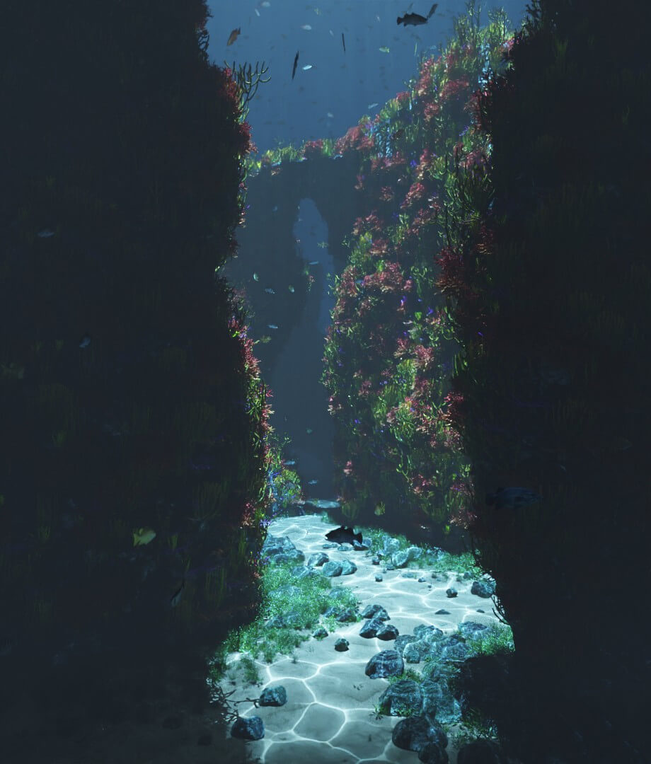 Underwater Reefs - 3D Model by raffyraffy