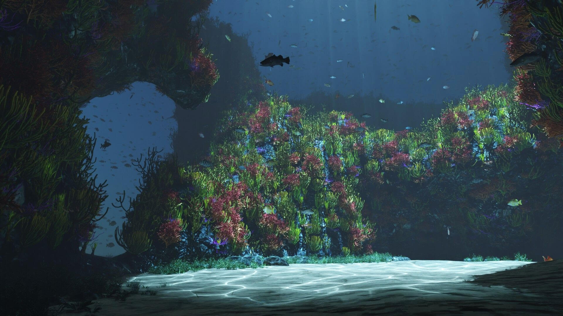 Underwater Reefs - 3D Model by raffyraffy