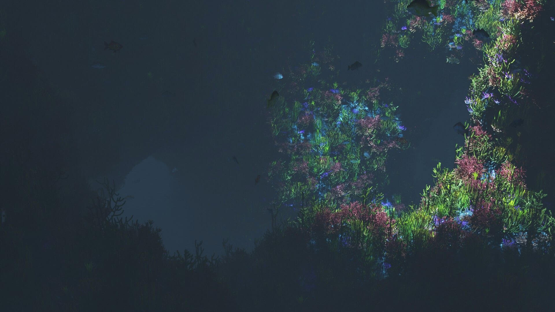 Underwater Reefs - 3D Model by raffyraffy