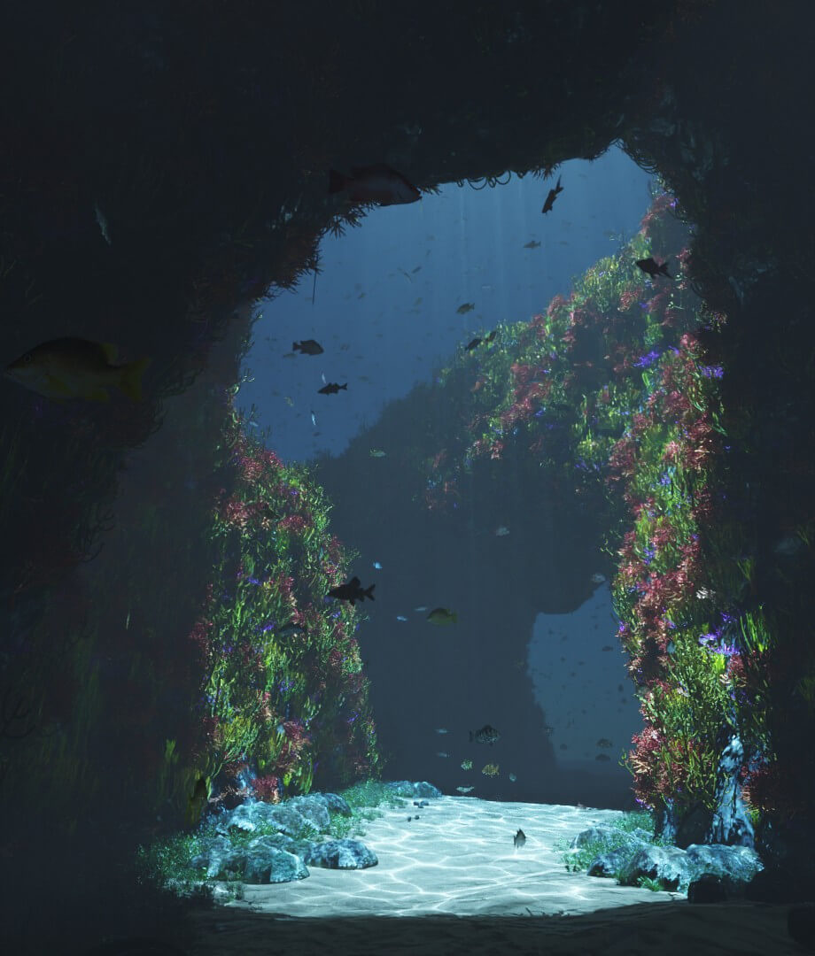 Underwater Reefs - 3D Model by raffyraffy