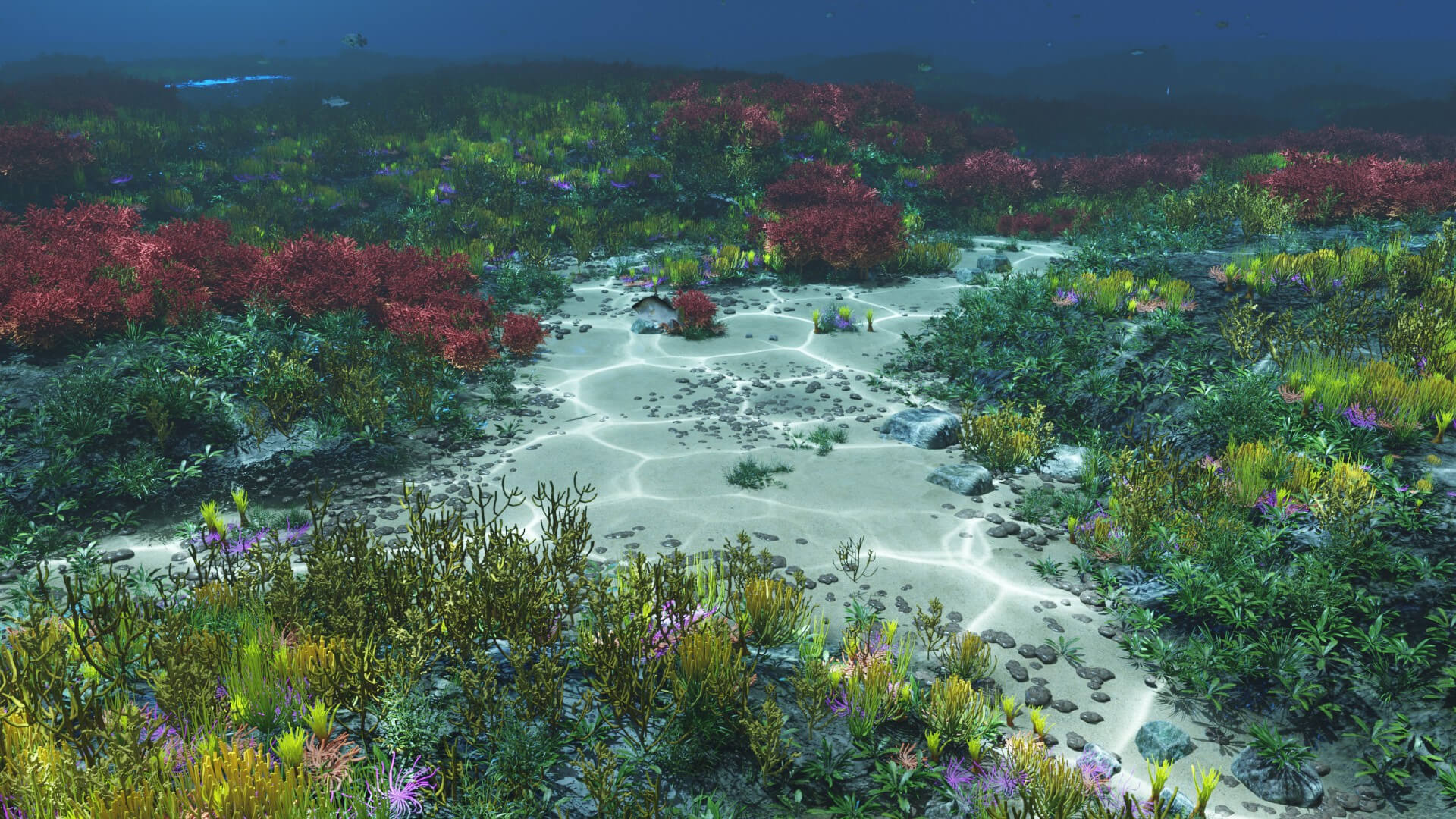 Underwater Seabed - 3D Model by raffyraffy